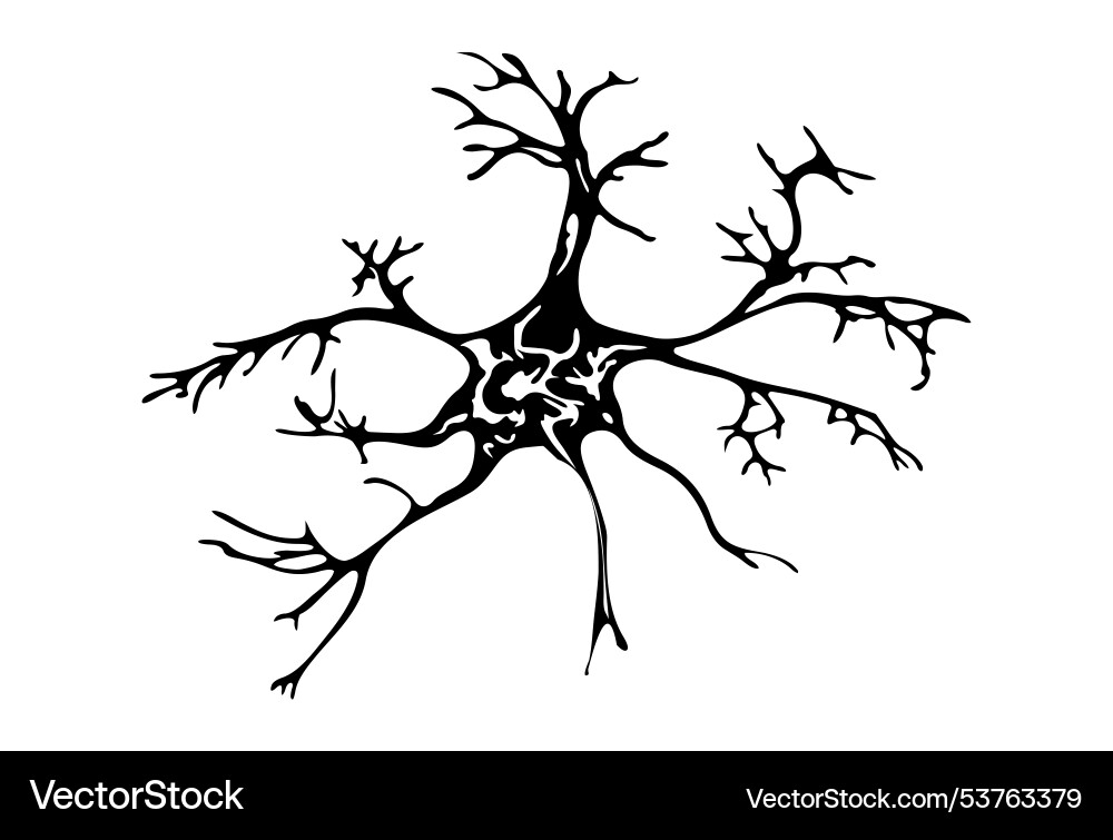 Neuron colorful watercolor Royalty Free Vector Image