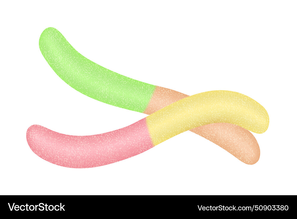 3d jelly candy colorful long soft chewy worms Vector Image