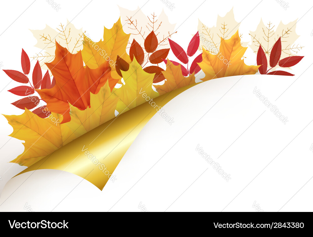Autumn Leaf Background Royalty Free Vector Image