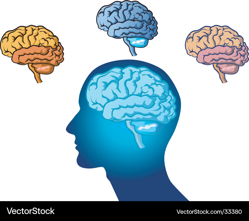 Brain Drain Vector Images (over 240)
