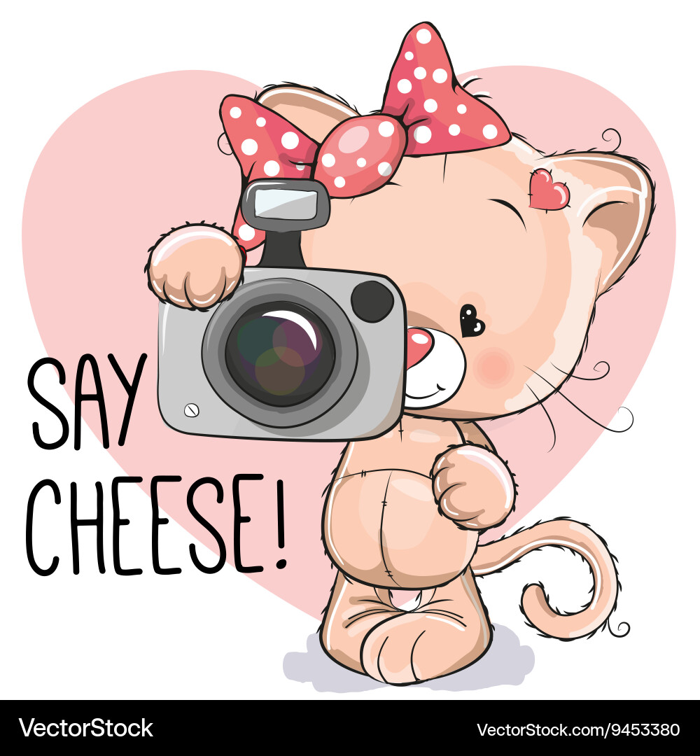 Cat with a camera Royalty Free Vector Image - VectorStock