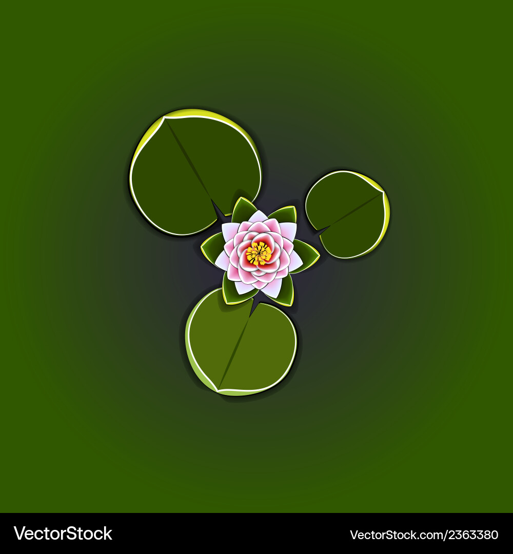 Lotus Royalty Free Vector Image - VectorStock