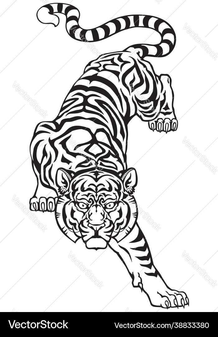 Tiger Climbing Down - Fierce Portrait Royalty Free Vector