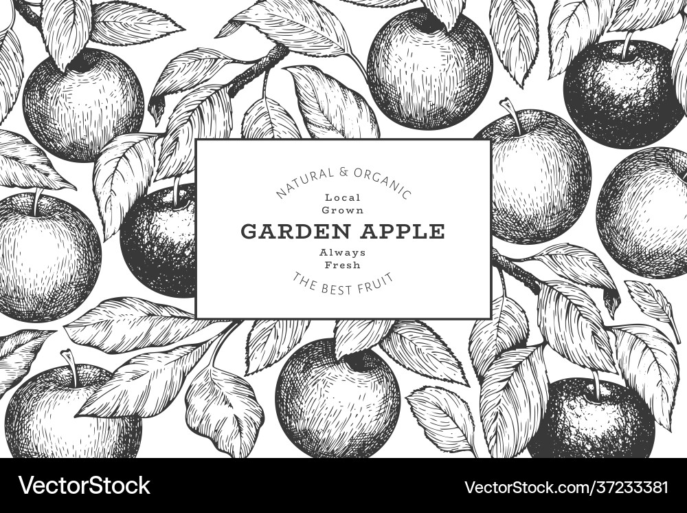 Apple branch design template hand drawn garden Vector Image