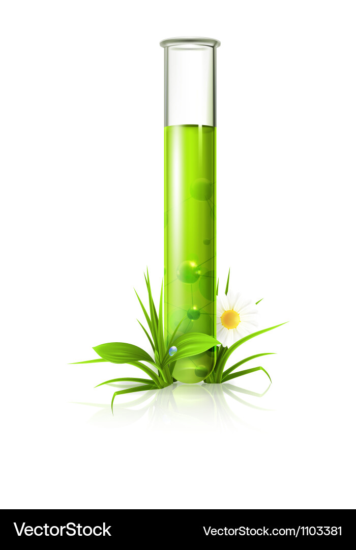 Laboratory Test Tube Royalty Free Vector Image