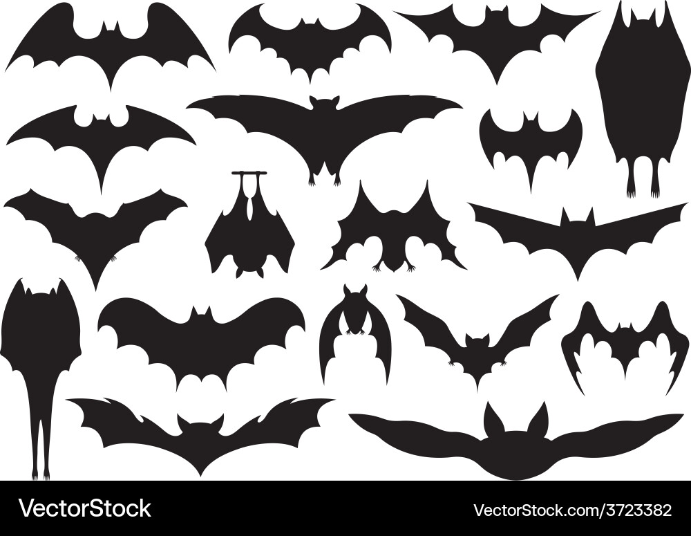 Hanging Bat Vector Images (over 2,300)