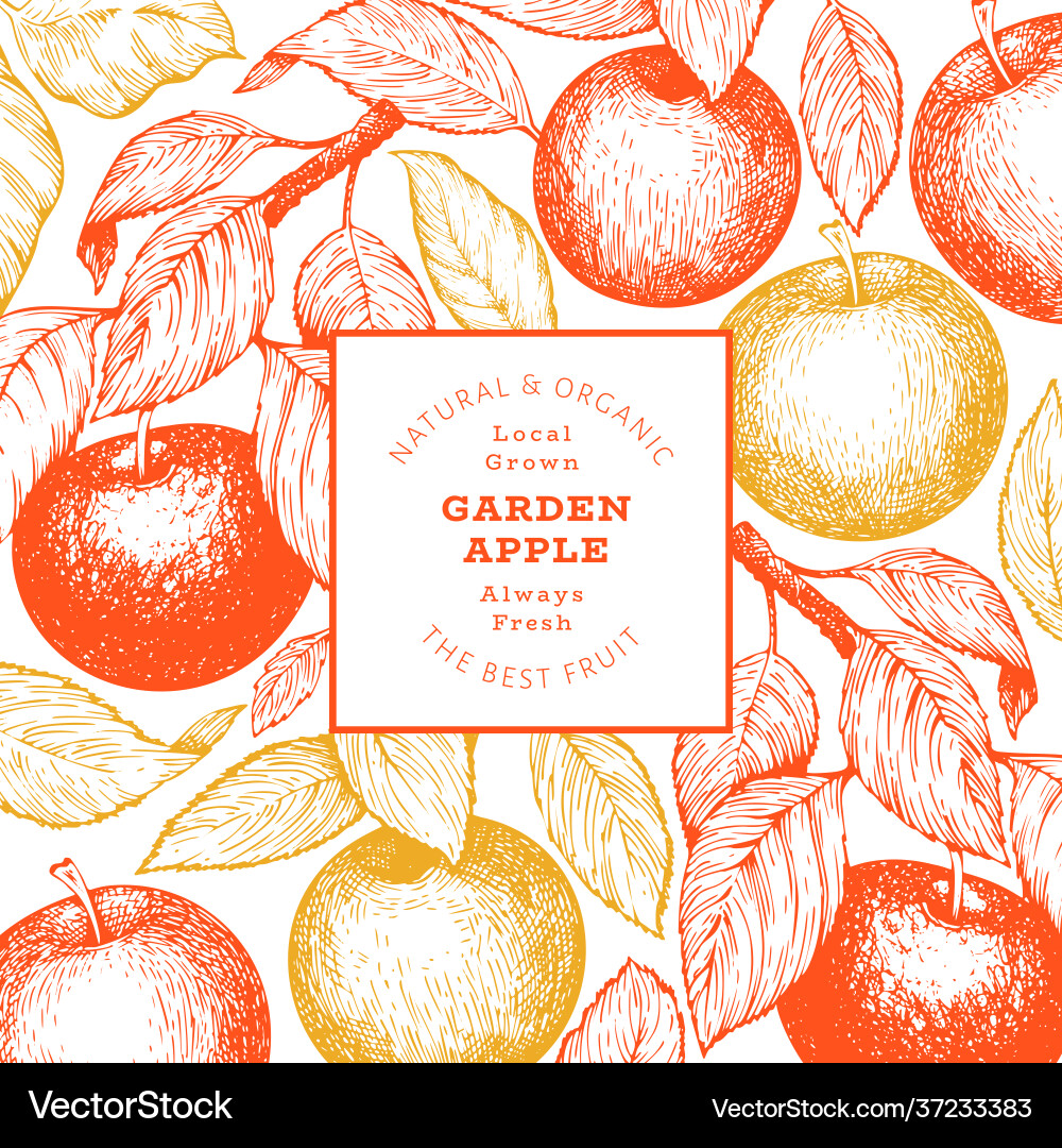 Apple branch design template hand drawn garden Vector Image