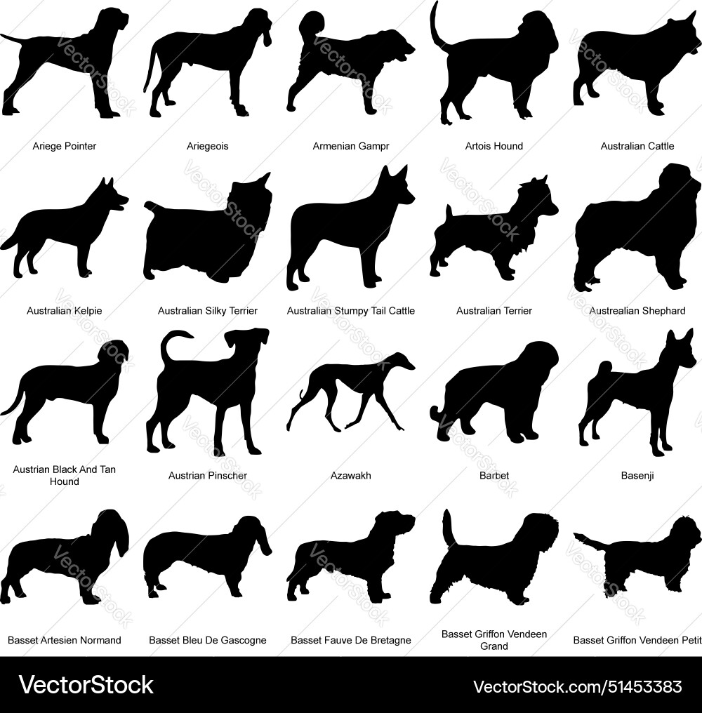 Set of dog breeds silhouettes bundle collection Vector Image