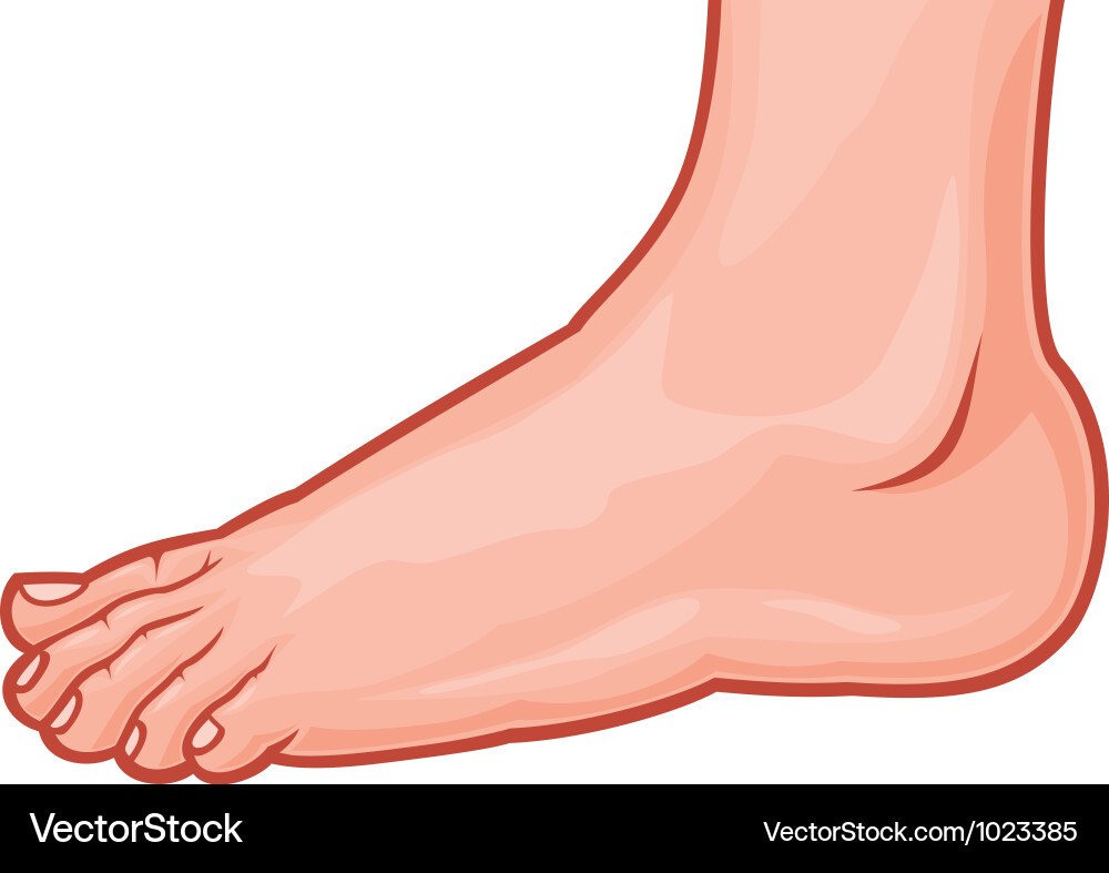 Cartoon Foot Illustration Royalty Free Vector Image