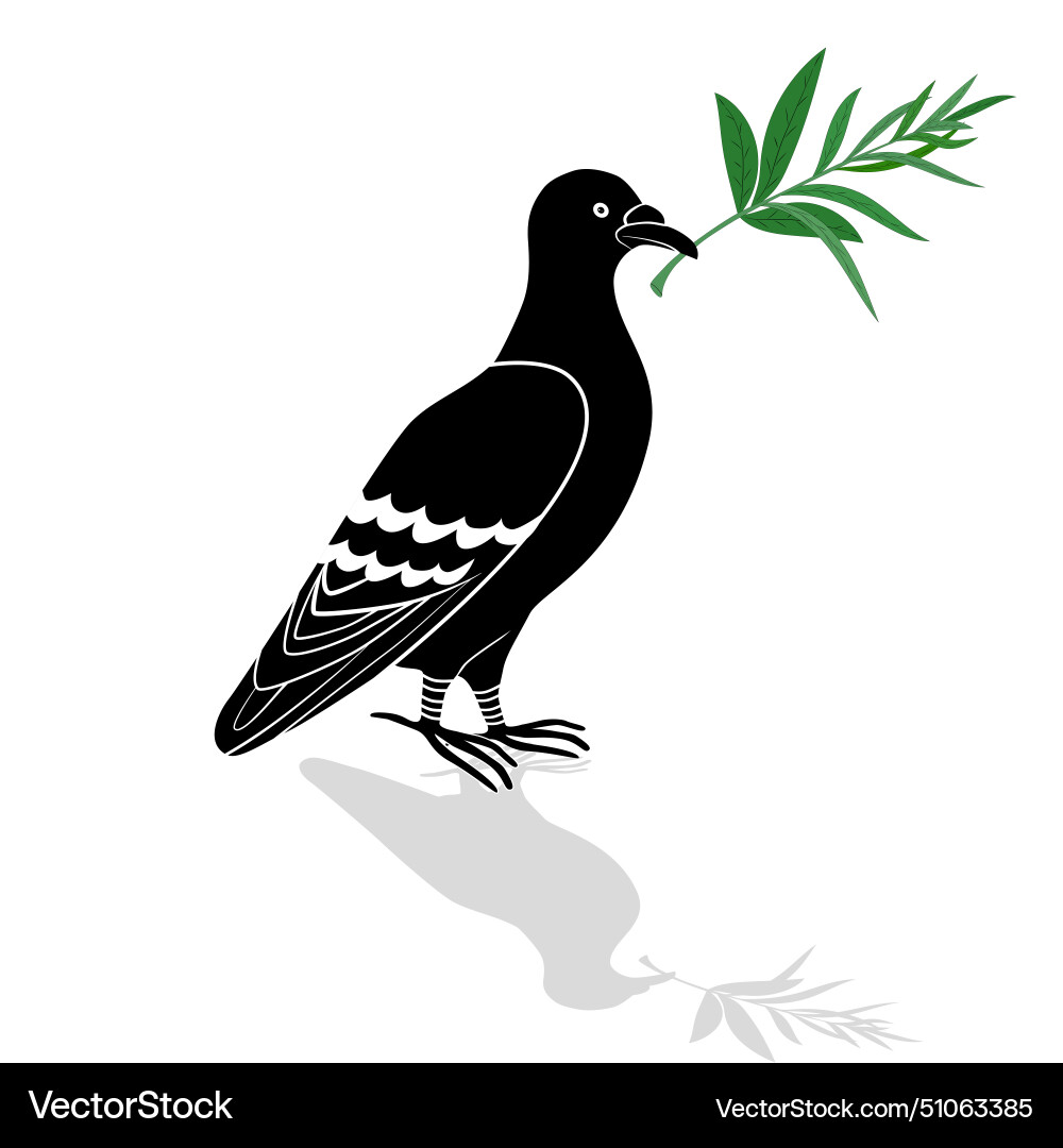 Dove turtle with olive branch isolated Royalty Free Vector