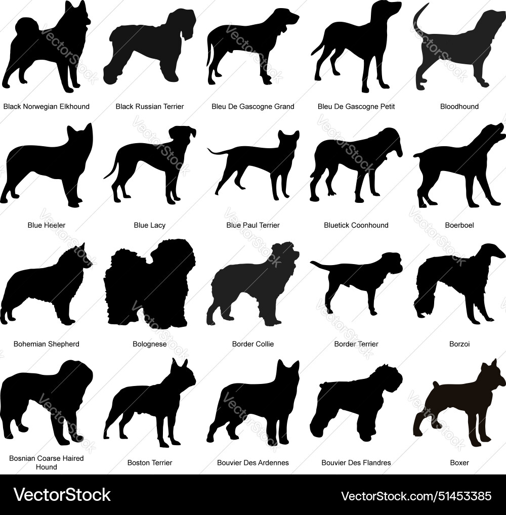 Set of dog breeds silhouettes bundle collection Vector Image