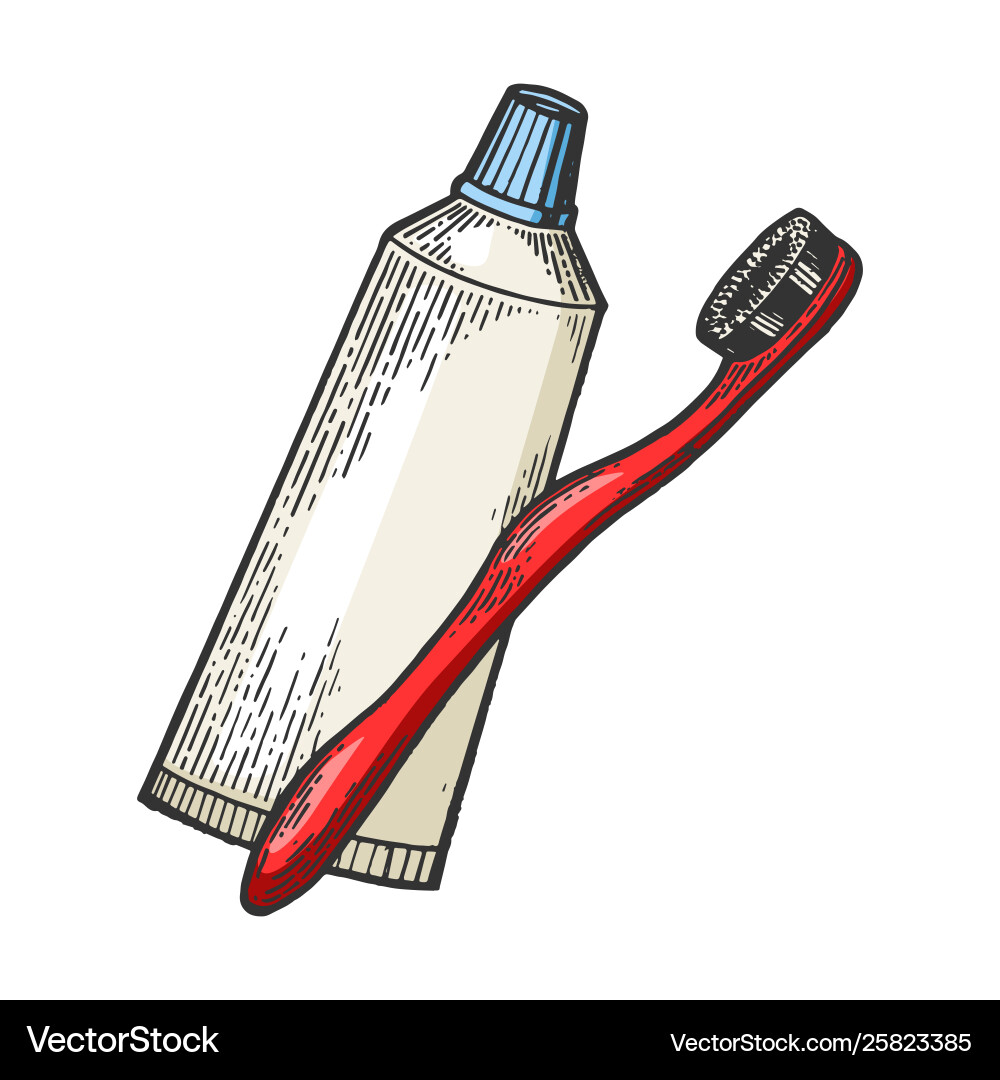 Toothbrush and toothpaste engraving Royalty Free Vector