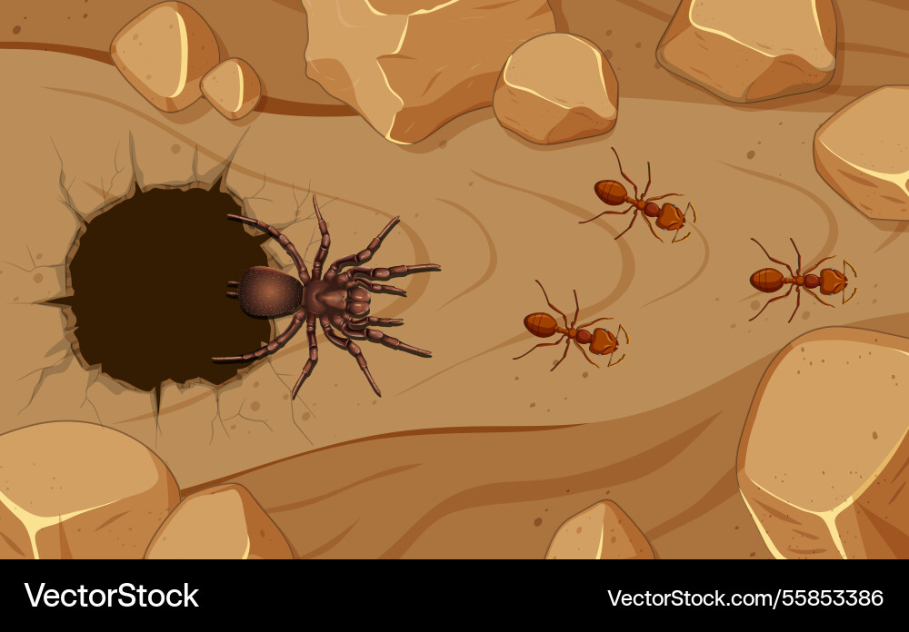 Ants and spider near a burrow in desert Royalty Free Vector