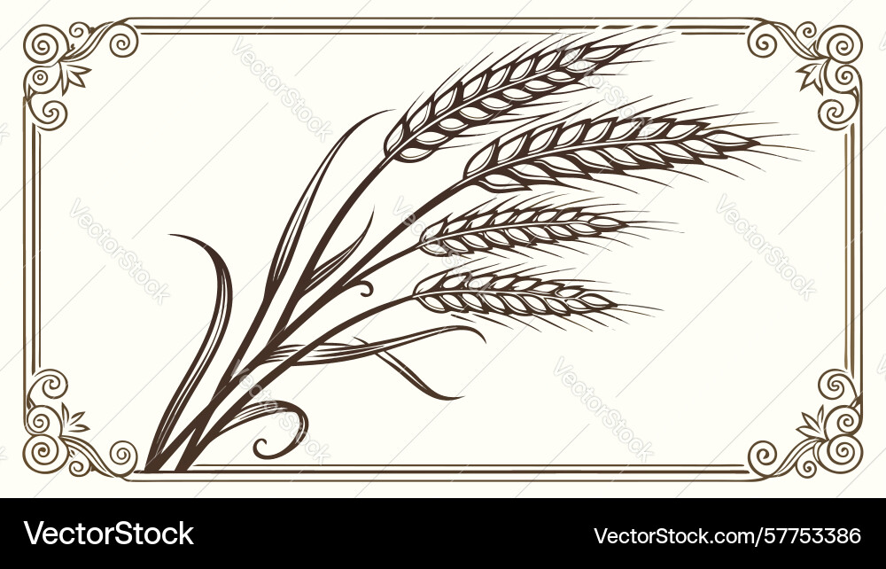 Elegant wheat stalk border rustic harvest theme Vector Image