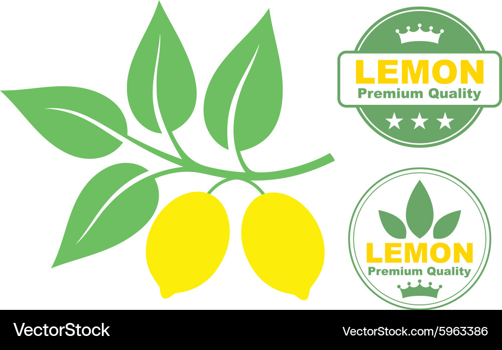 Lemon Royalty Free Vector Image - VectorStock