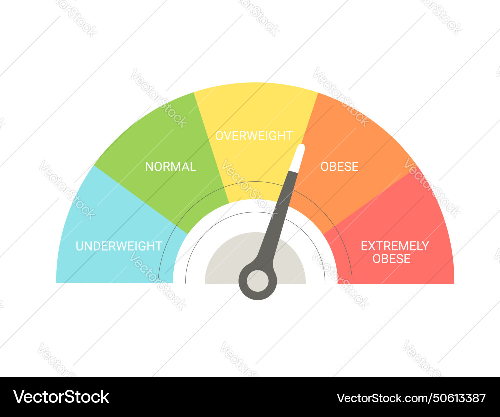 Bmi concept indicator body mass index weight Vector Image