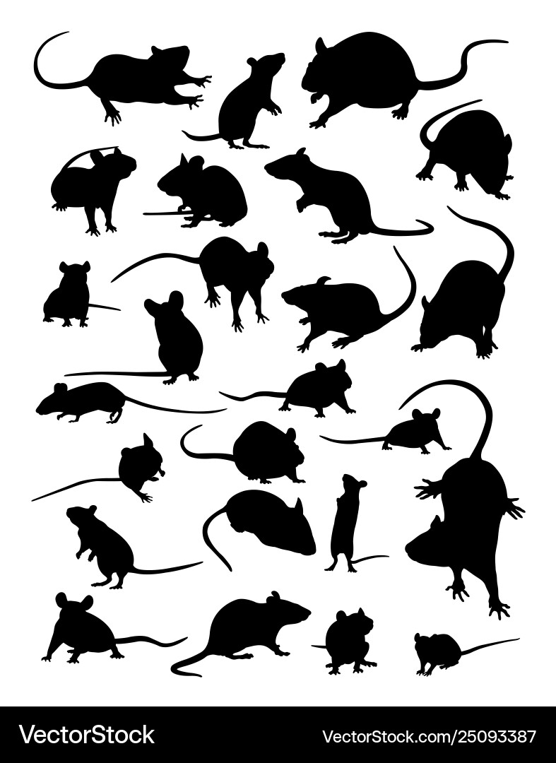 Laboratory Mouse Vector Images (over 3,700)
