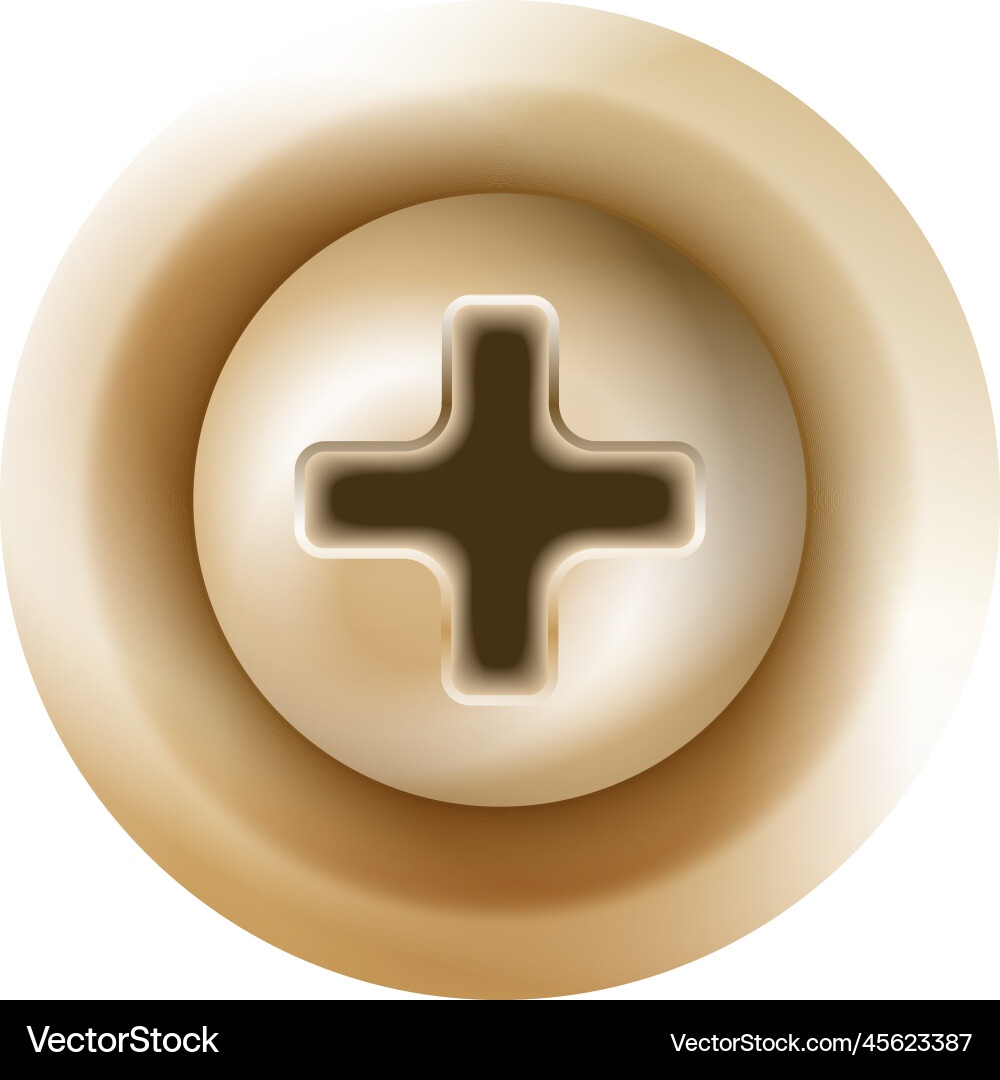 Realistic screw head Royalty Free Vector Image