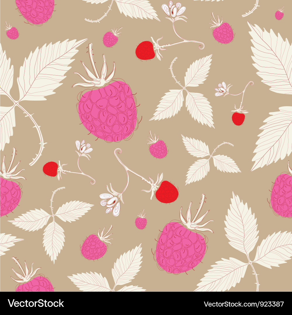 Vintage raspberry pattern background Royalty Free Vector