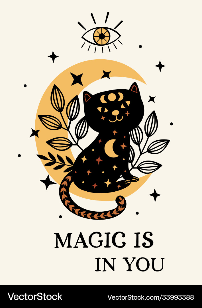Poster with magic eye and black cat on moon Vector Image
