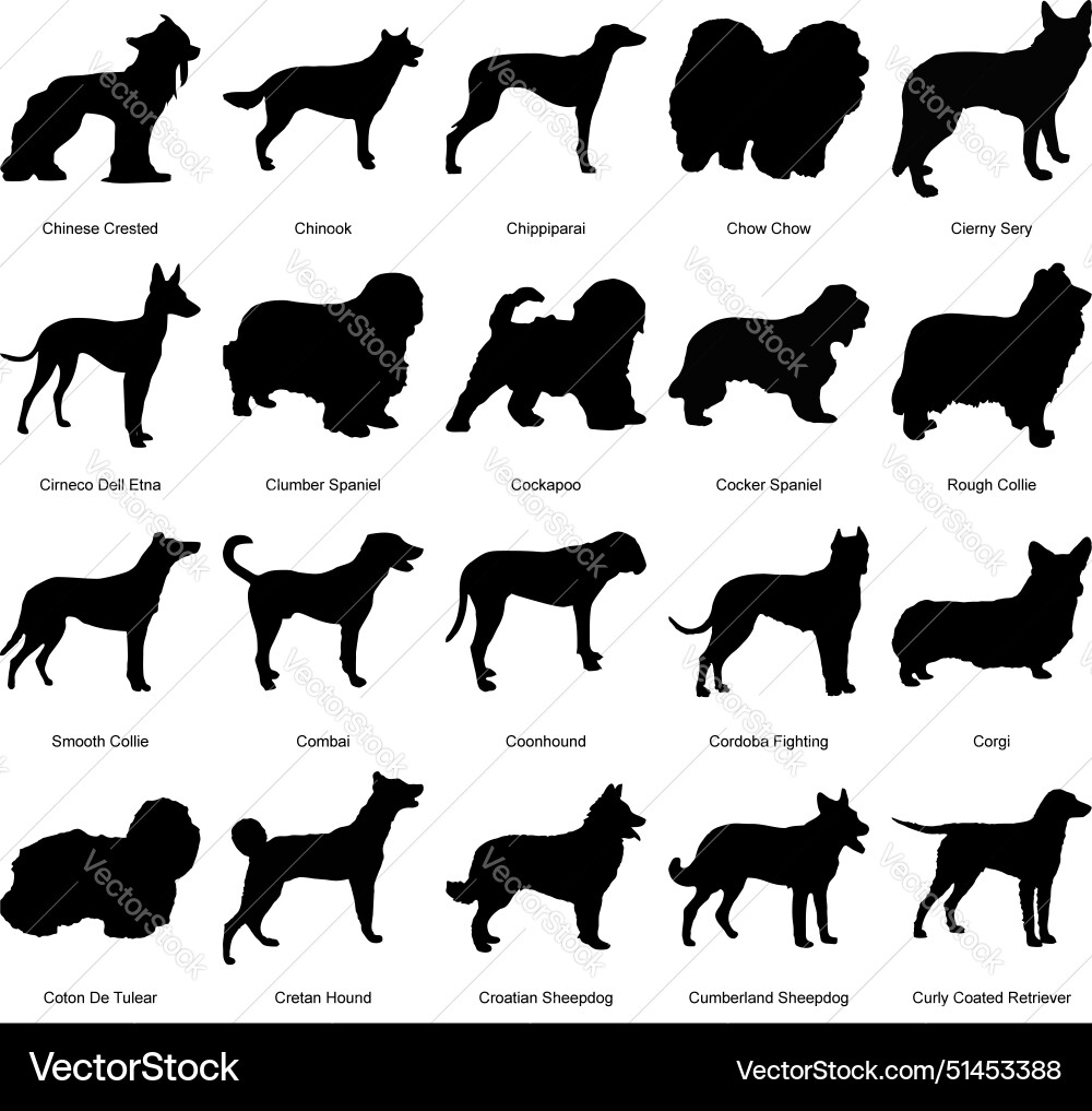 Set of dog breeds silhouettes bundle collection Vector Image