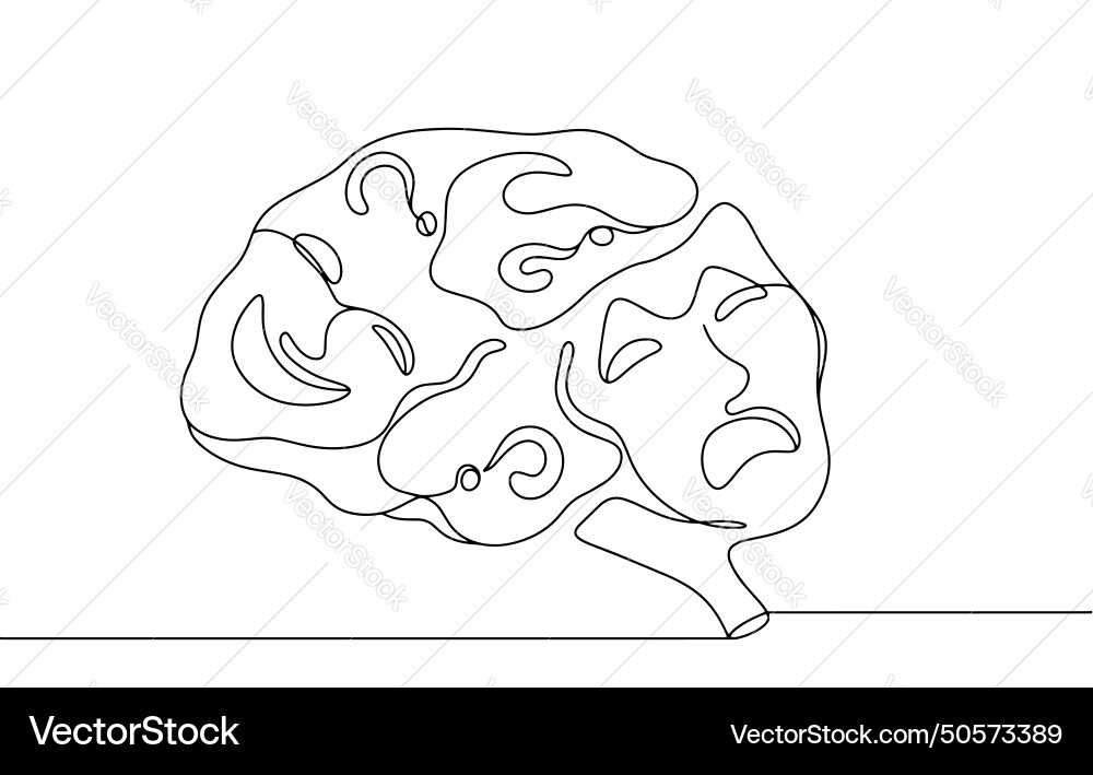 Bipolar disorder brain psyche Royalty Free Vector Image