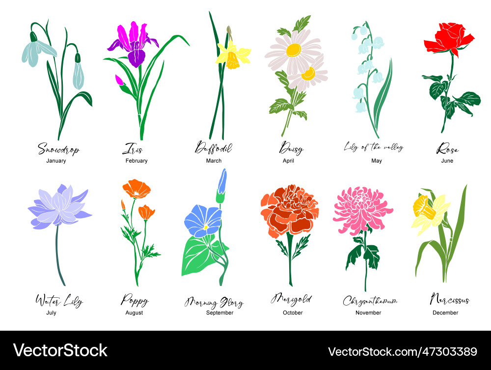 Geburt Monat Blumen bunte Kunst Set Lizenzfreier Vektor