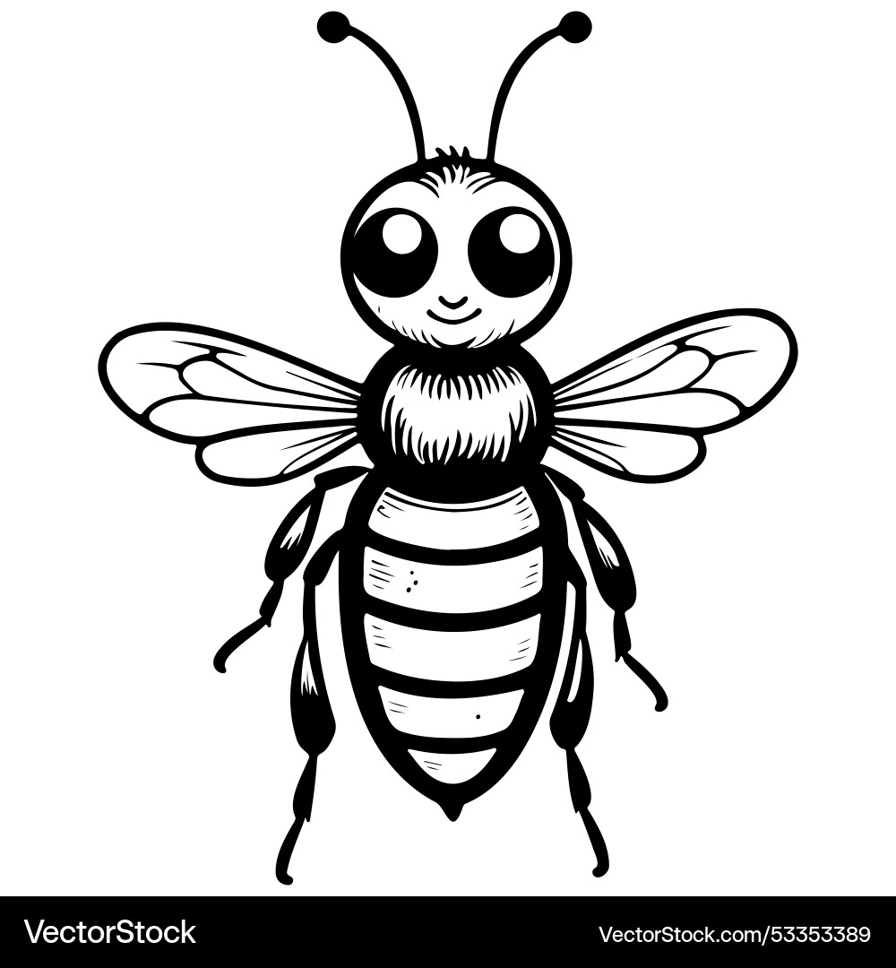 Cartoon bee ink hand drawn line transparent Vector Image