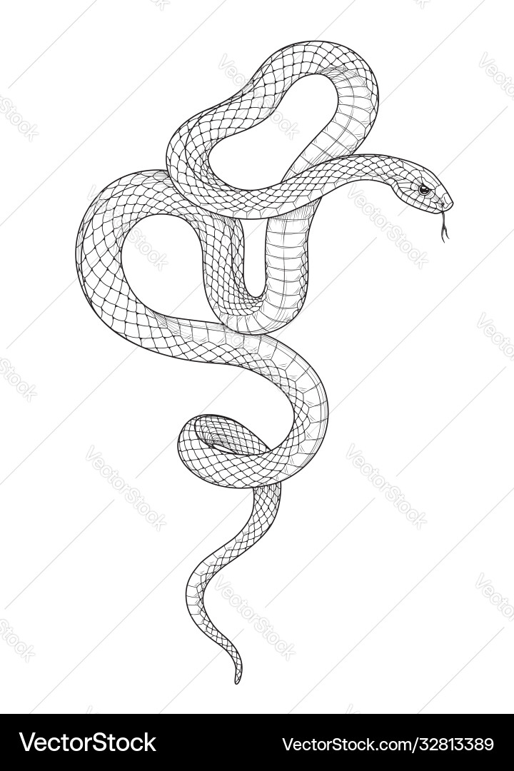 Snake Tongue Clipart Vector Images (over 130)