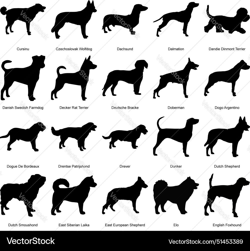 Set of dog breeds silhouettes bundle collection Vector Image