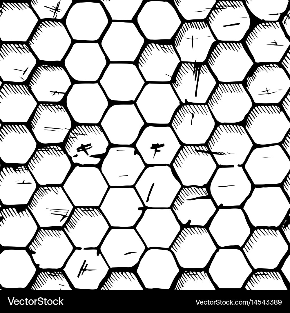 Vintage Honeycomb Pattern Royalty Free Vector Image