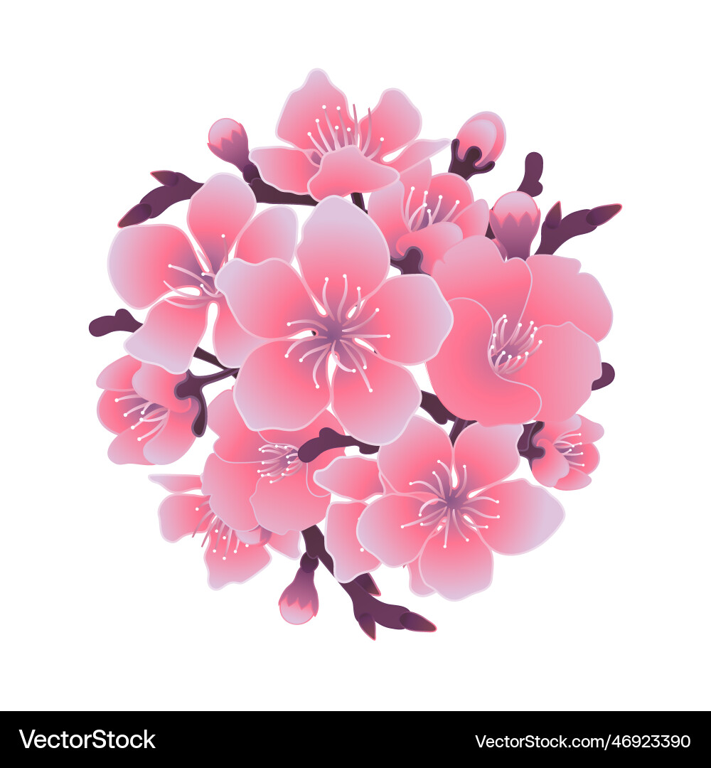 Graphic sakura vignette Royalty Free Vector Image