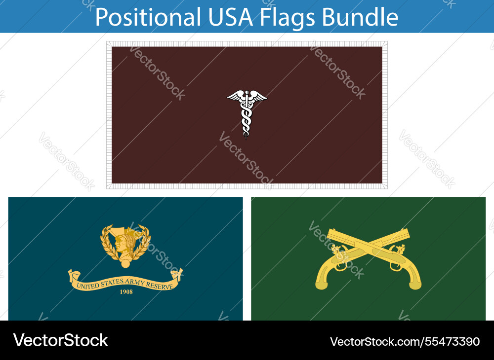 Positional usa flags bundle premium quality Vector Image