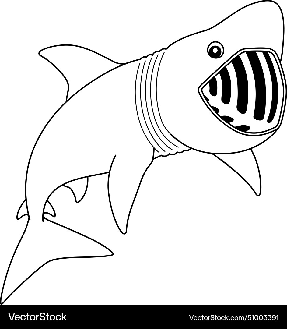 Basking Shark Coloring Download Basking Shark Coloring
