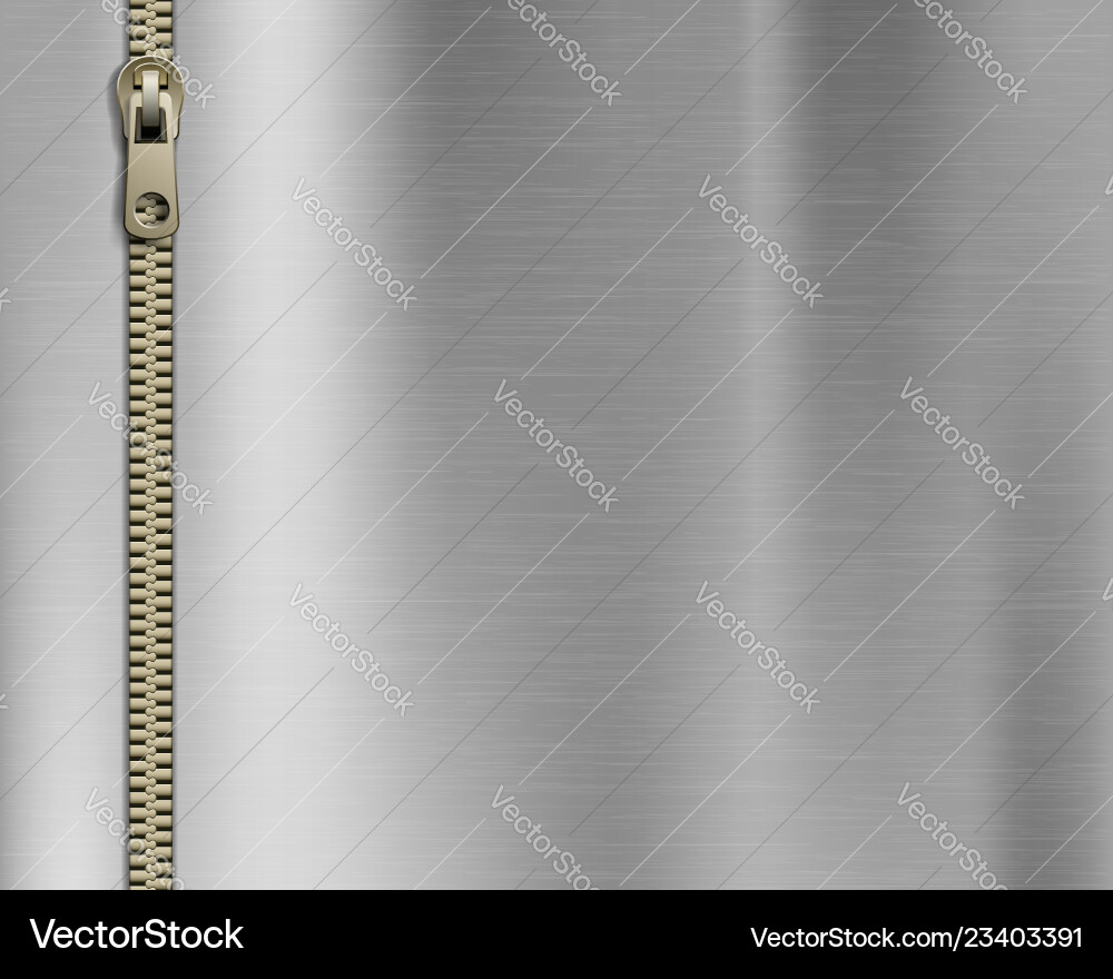 Metal Zipper Detail Royalty Free Vector Image - VectorStock