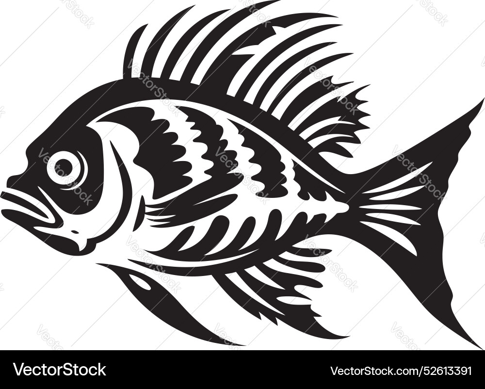 Nautical nostalgia tropical river fish sketches Vector Image