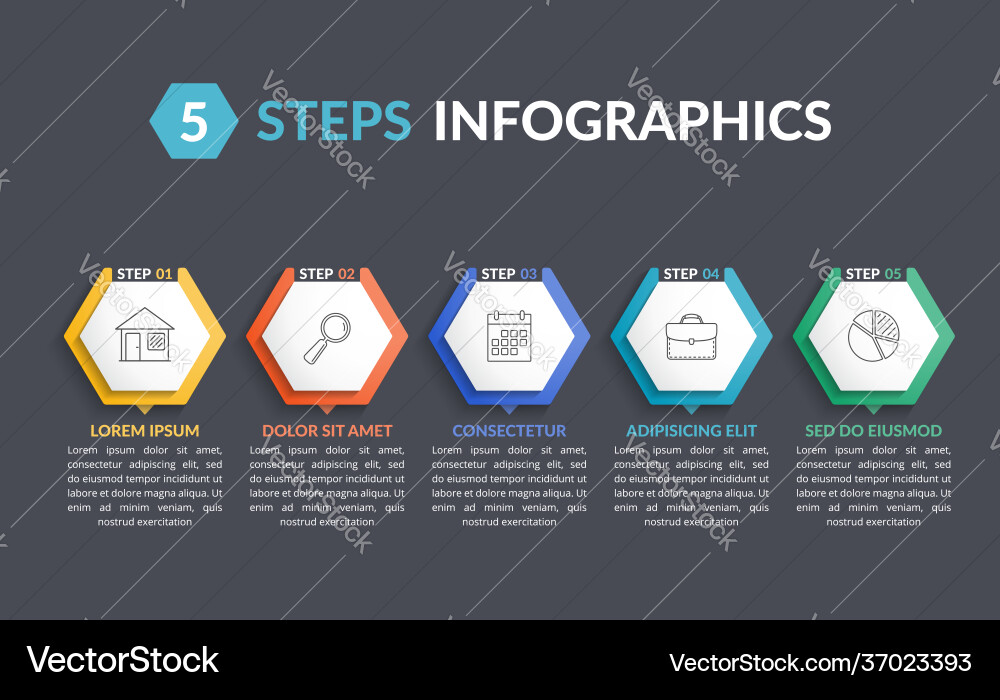 5 steps infographics Royalty Free Vector Image