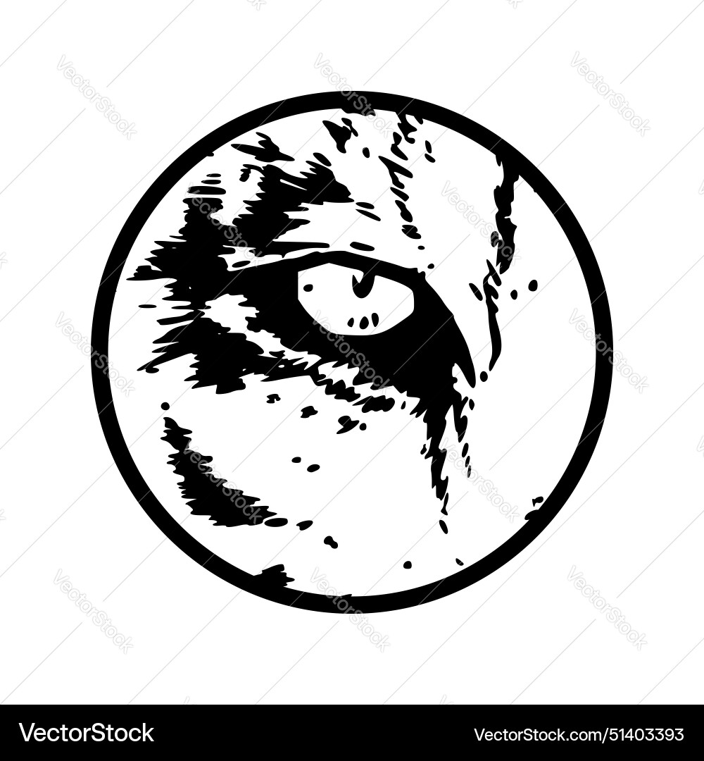 Tiger eye wild cat head close-up detailed Vector Image