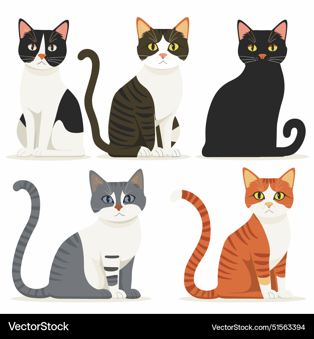 Cute domestic cats various patterns fur sitting Vector Image