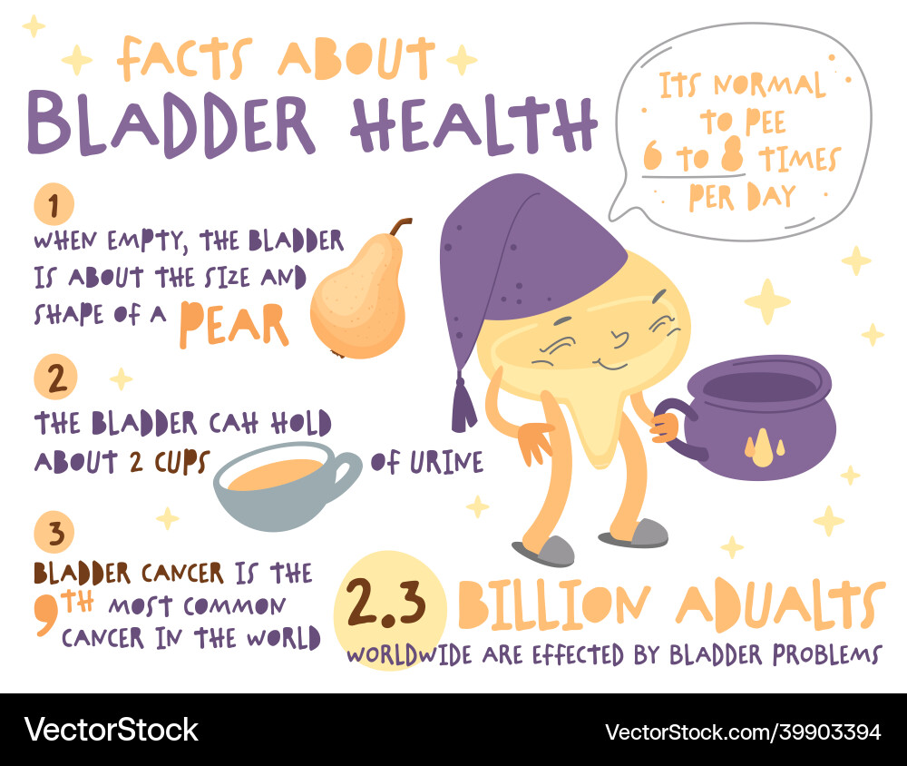Take care of your bladder creative landscape Vector Image