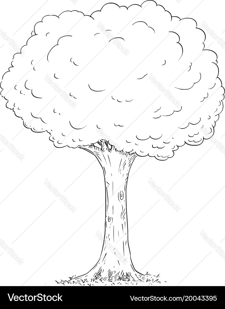 Cartoon drawing of tree Royalty Free Vector Image