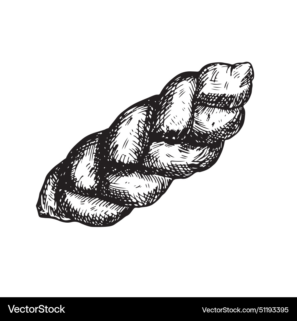 Graphic of challah bread Royalty Free Vector Image