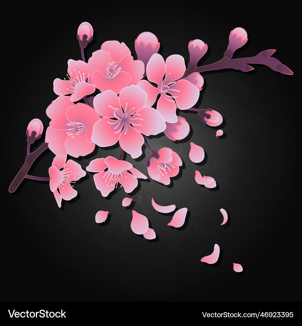 Graphic sakura flowers Royalty Free Vector Image