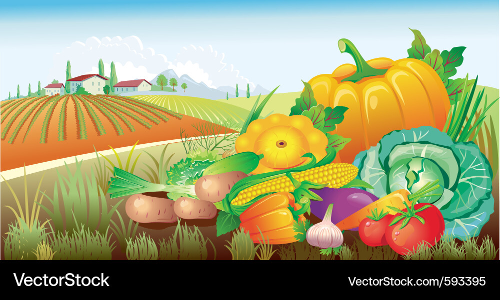 Landscape with a group of vegetables Royalty Free Vector