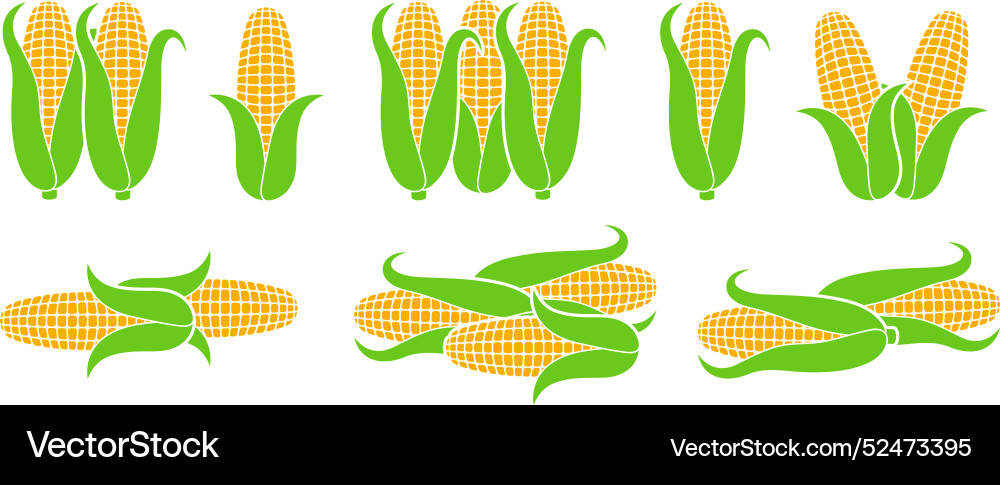 Mais Lizenzfreies Vektorbild - VectorStock