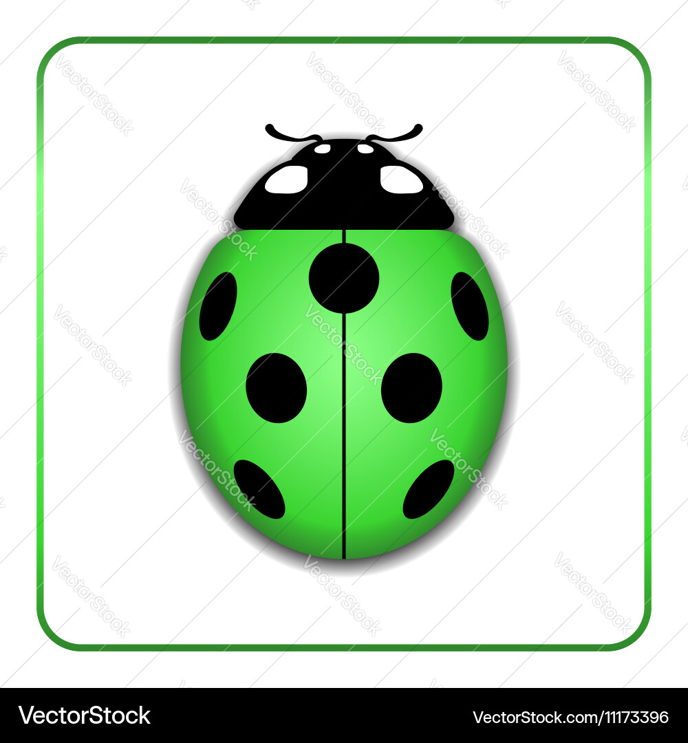 Ladybug realistic cartoon icon Royalty Free Vector Image
