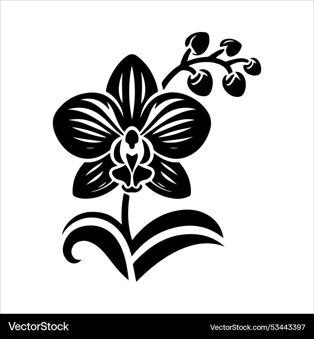 Orchid art Royalty Free Vector Image - VectorStock