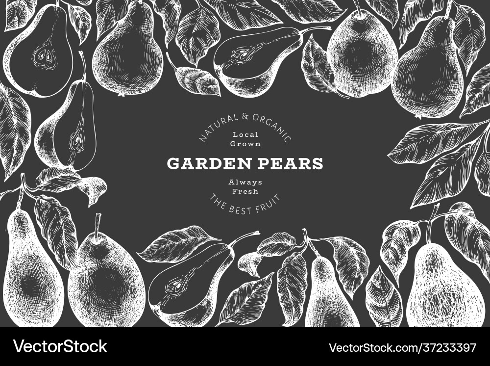 Pear design template hand drawn garden fruit Vector Image