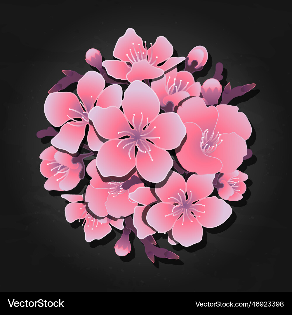 Graphic sakura vignette Royalty Free Vector Image