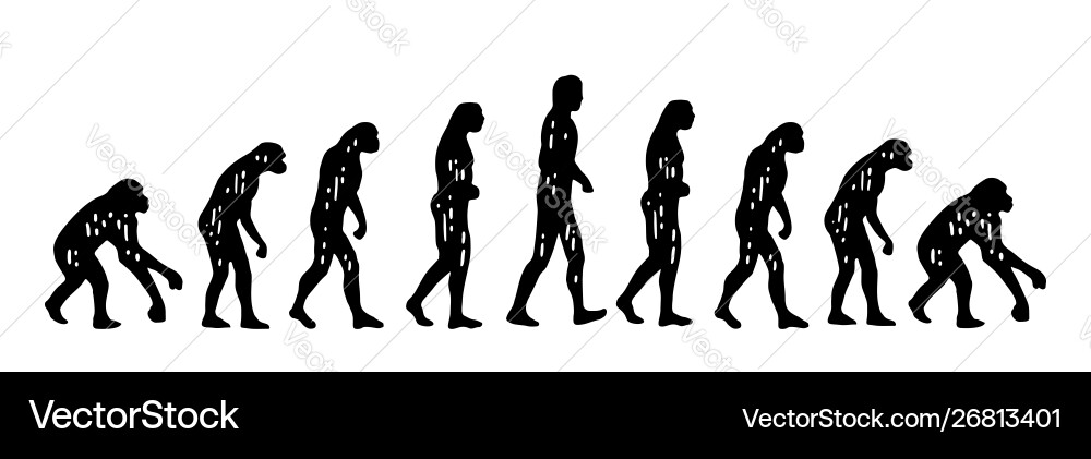 Theory evolution man from monkey Royalty Free Vector Image